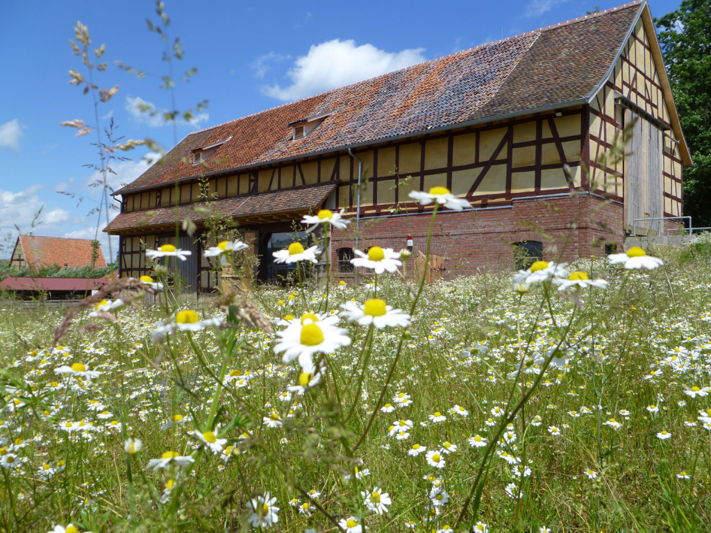 » Stallscheune Asterode_Frühling - Freilichtmuseum Hessenpark