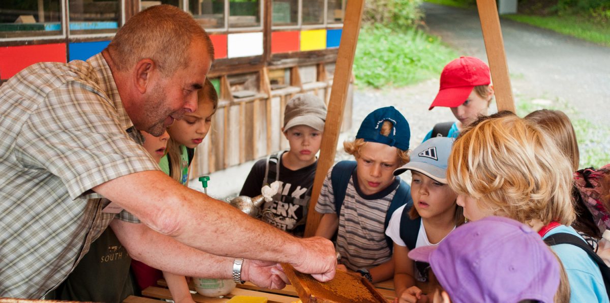 » Beab_Bienenführung2 - Freilichtmuseum Hessenpark